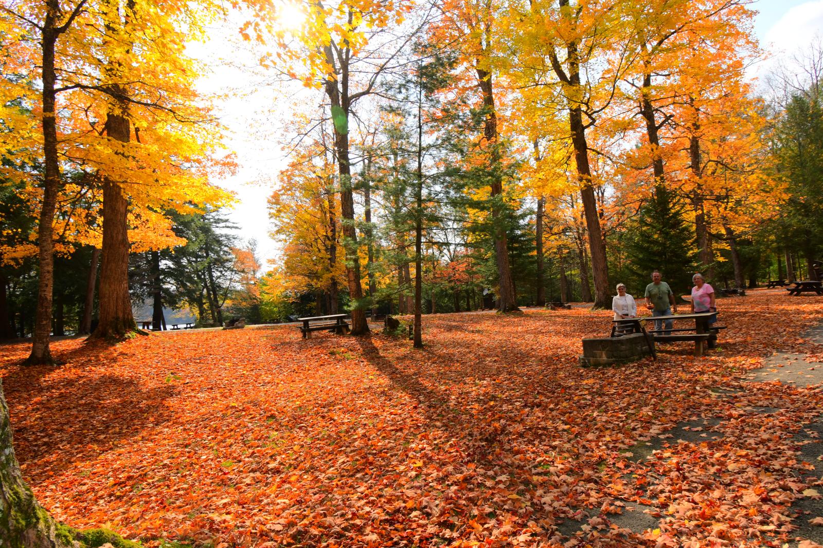 Campground Details - Piseco Lake Campground, NY - New York State Parks