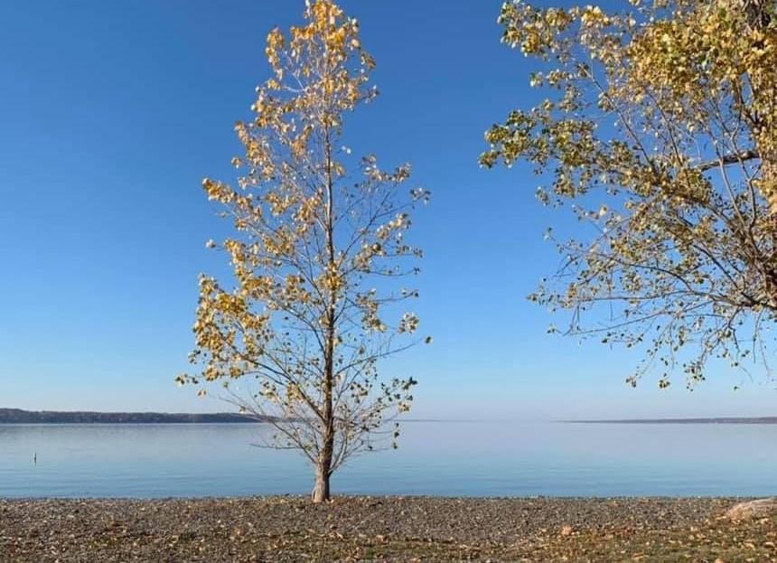 Campground Details - Lodi Point Marine State Park, NY - New York State ...