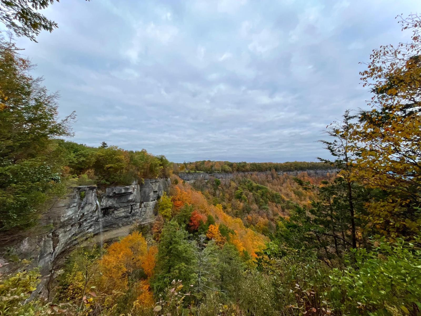 Campground Details - Thacher State Park, NY - New York State Parks