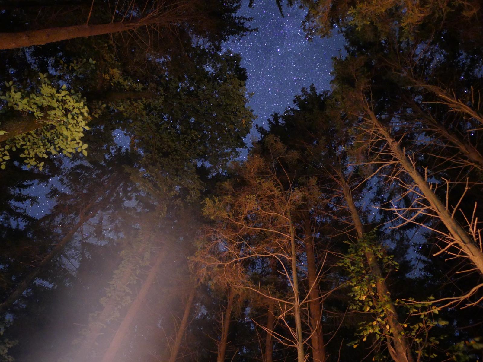 Campground Details - TACONIC STATE PARK (COPAKE FALLS), NY - New York ...