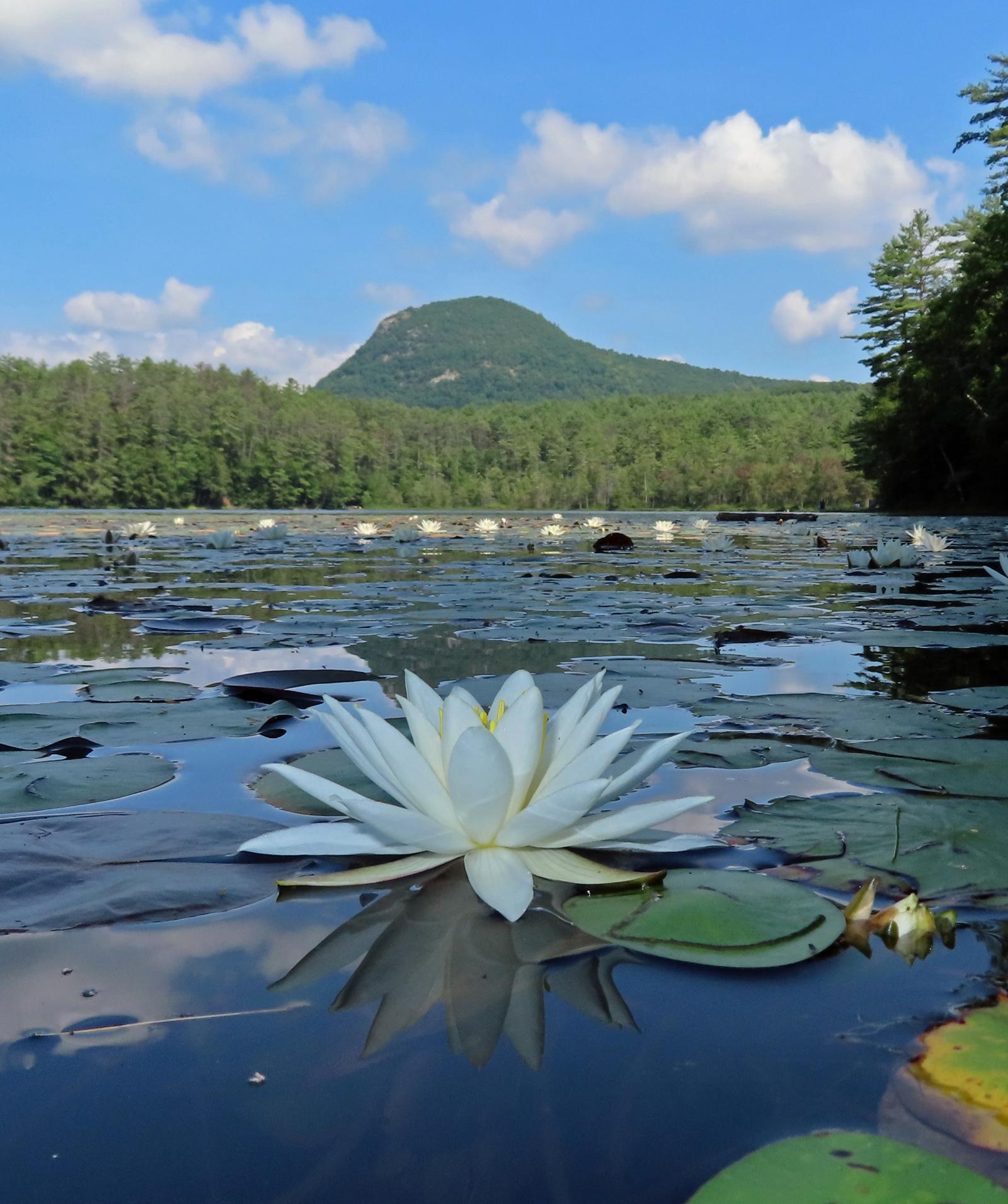 Campground Details - LUZERNE, NY - New York State Parks