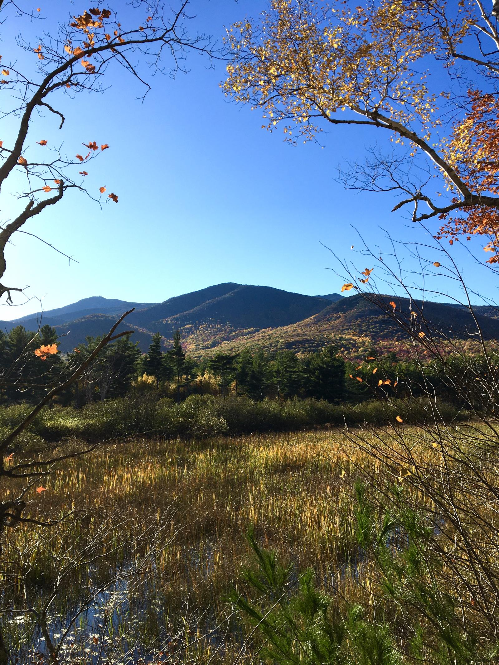 Campground Details - WILMINGTON NOTCH, NY - New York State Parks