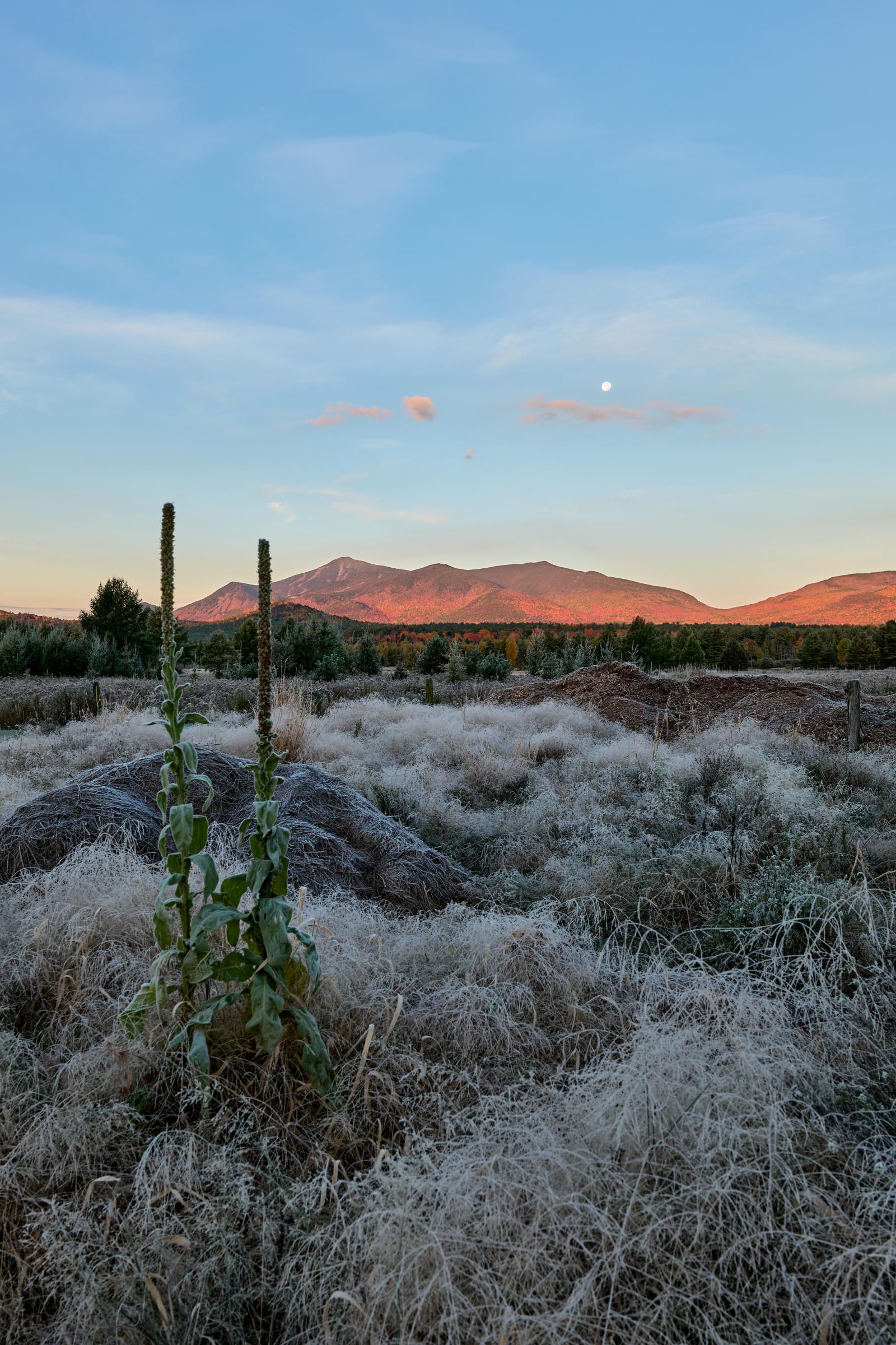 Campground Details - WILMINGTON NOTCH, NY - New York State Parks