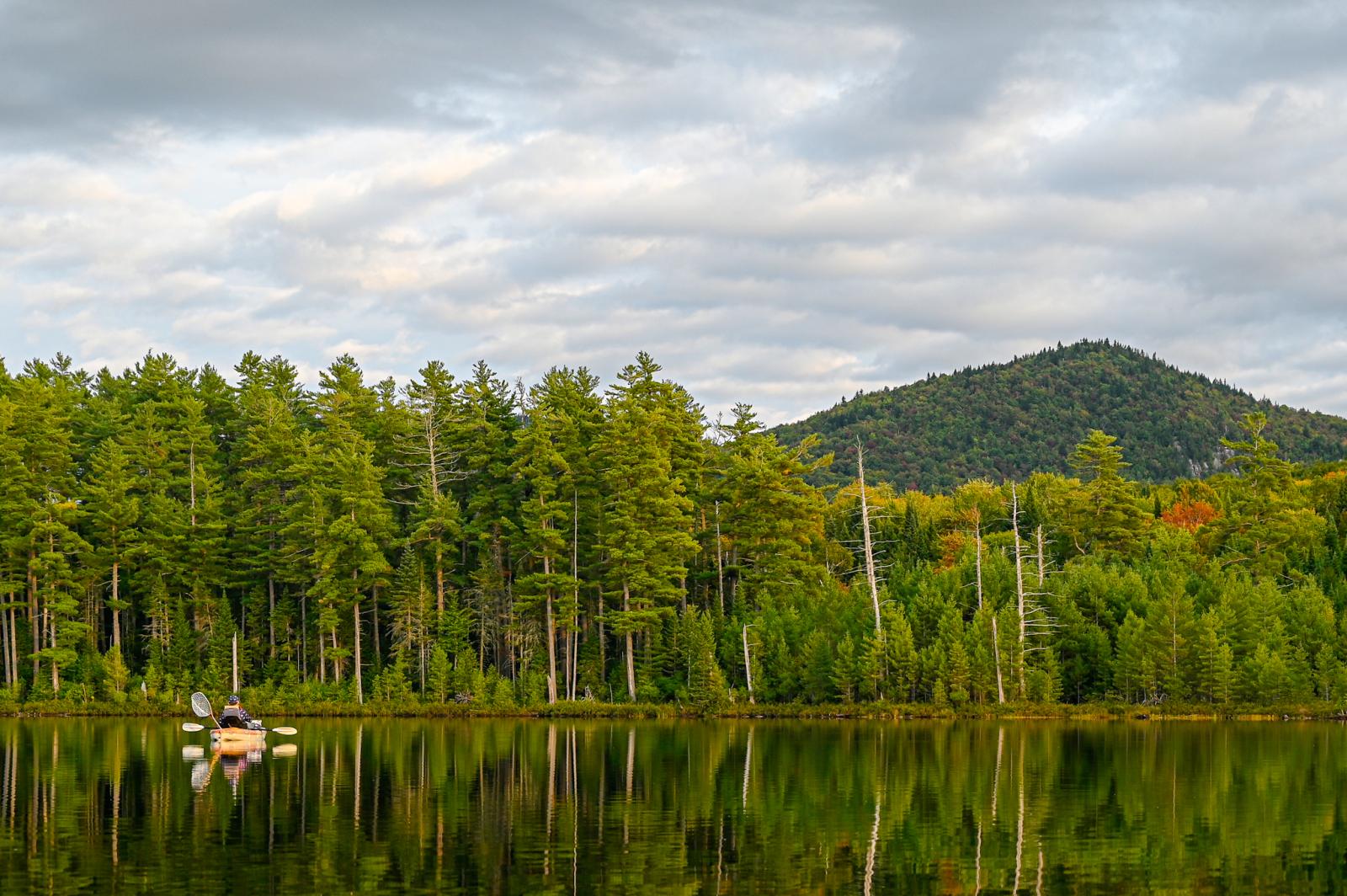 Campground Details - BUCK POND CAMPGROUND, NY - New York State Parks