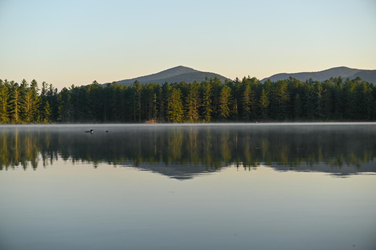 Campground Details - BUCK POND CAMPGROUND, NY - New York State Parks