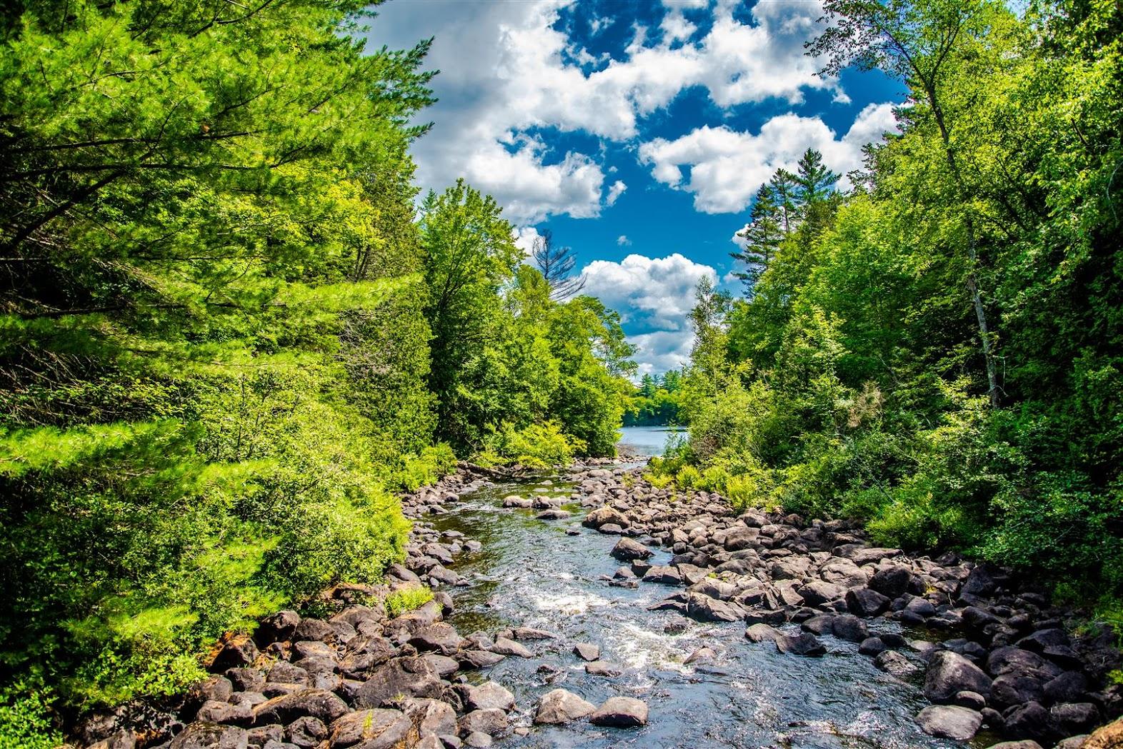 Campground Details - LAKE HARRIS CAMPGROUND, NY - New York State Parks