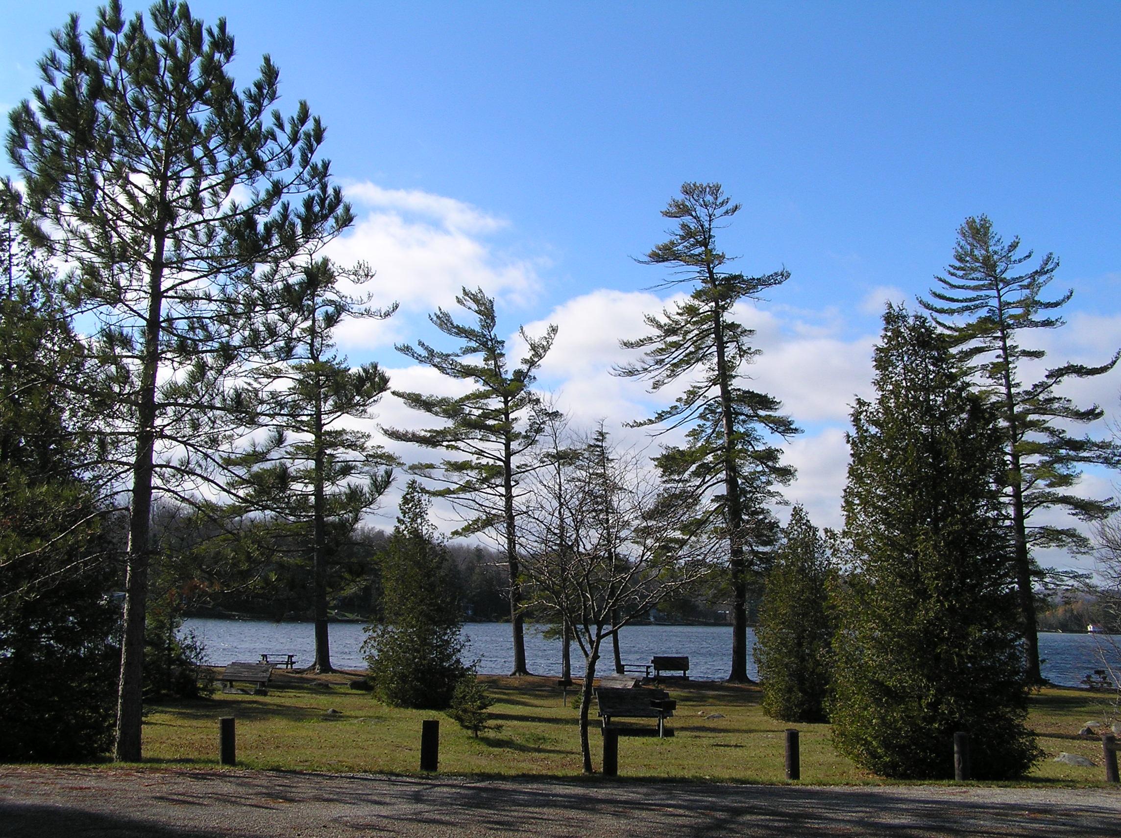 Campground Details - CAROGA LAKE CAMPGROUND, NY - New York State Parks