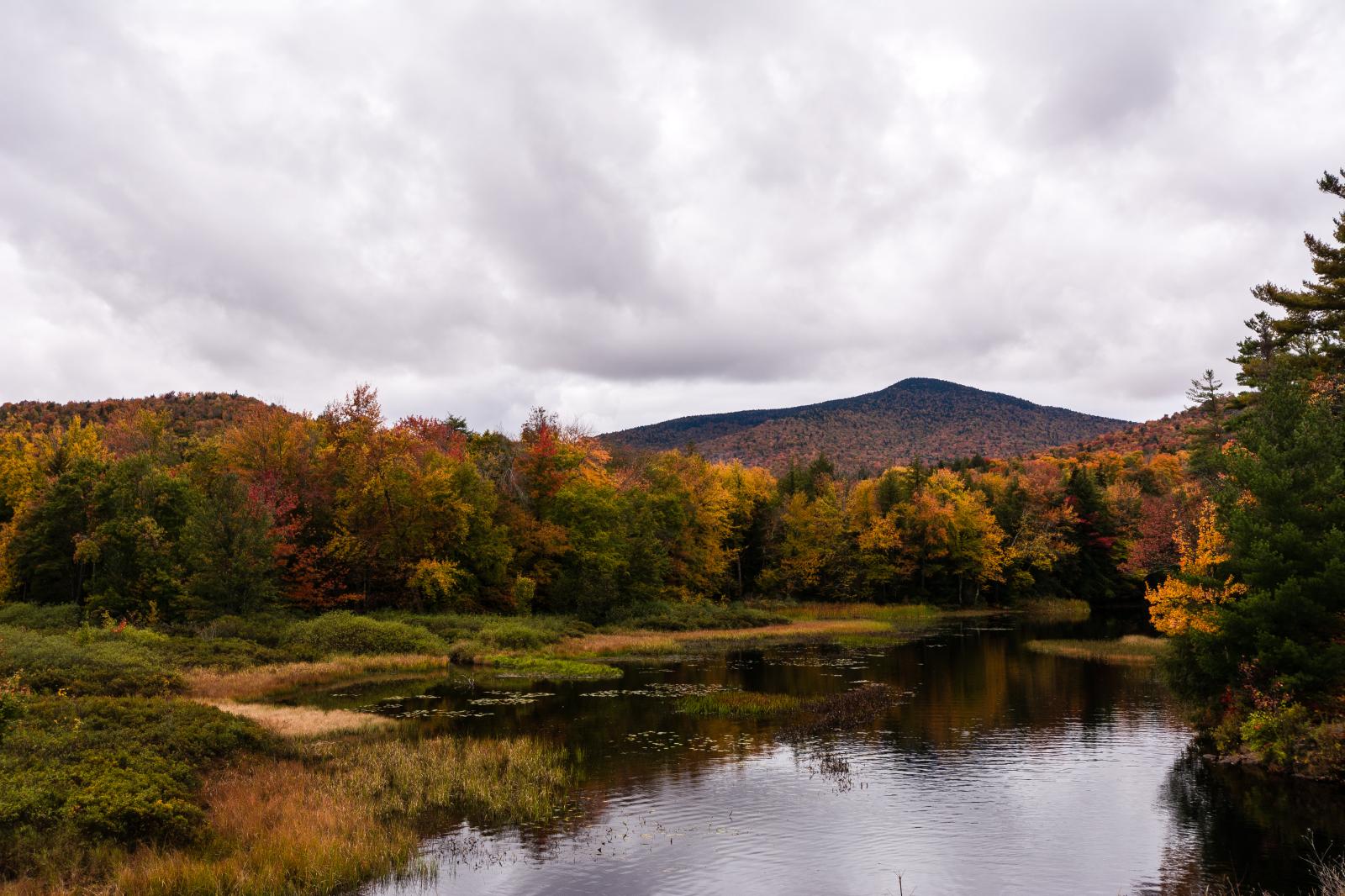 Campground Details - LEWEY LAKE, NY - New York State Parks