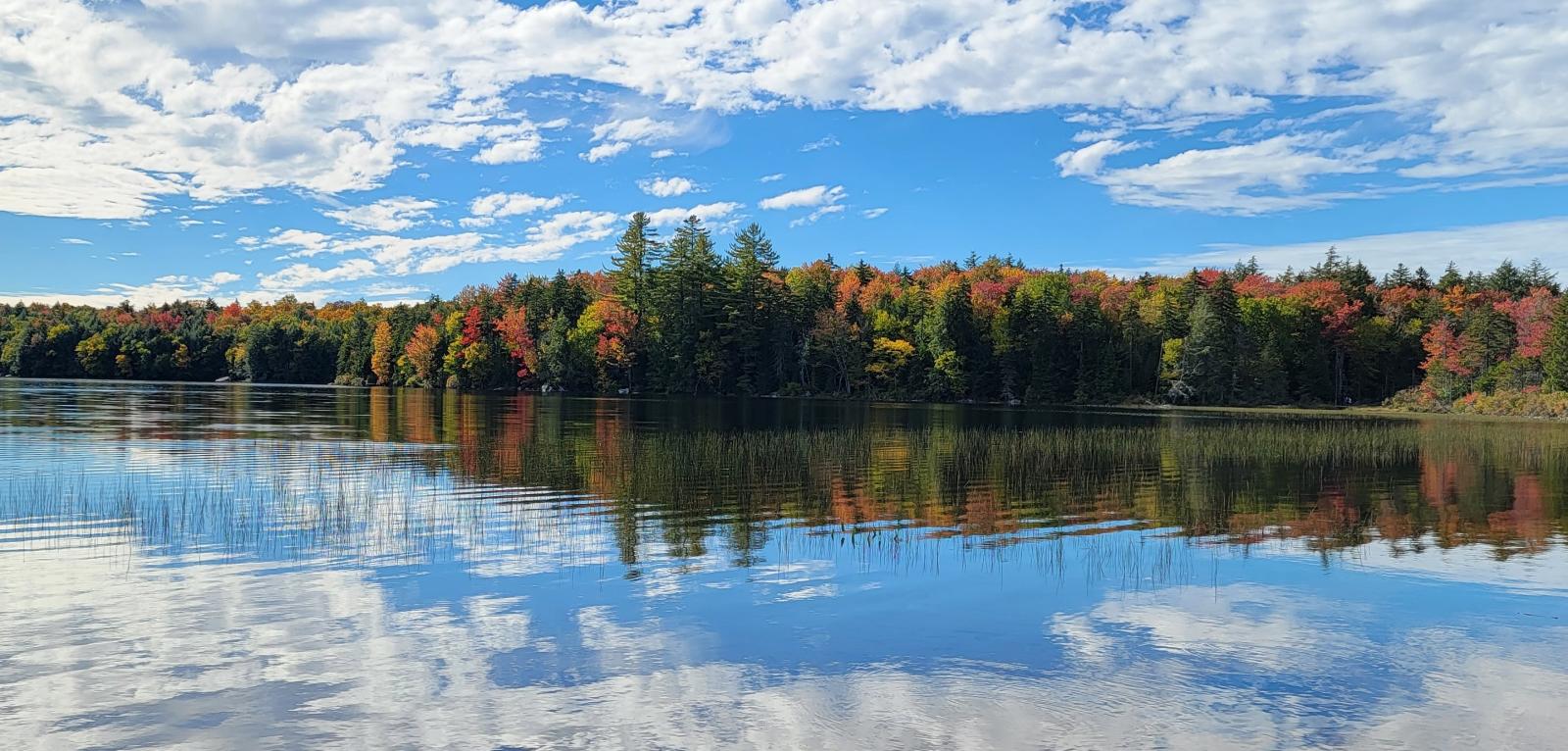 Campground Details - MOFFITT BEACH CAMPGROUND, NY - New York State Parks