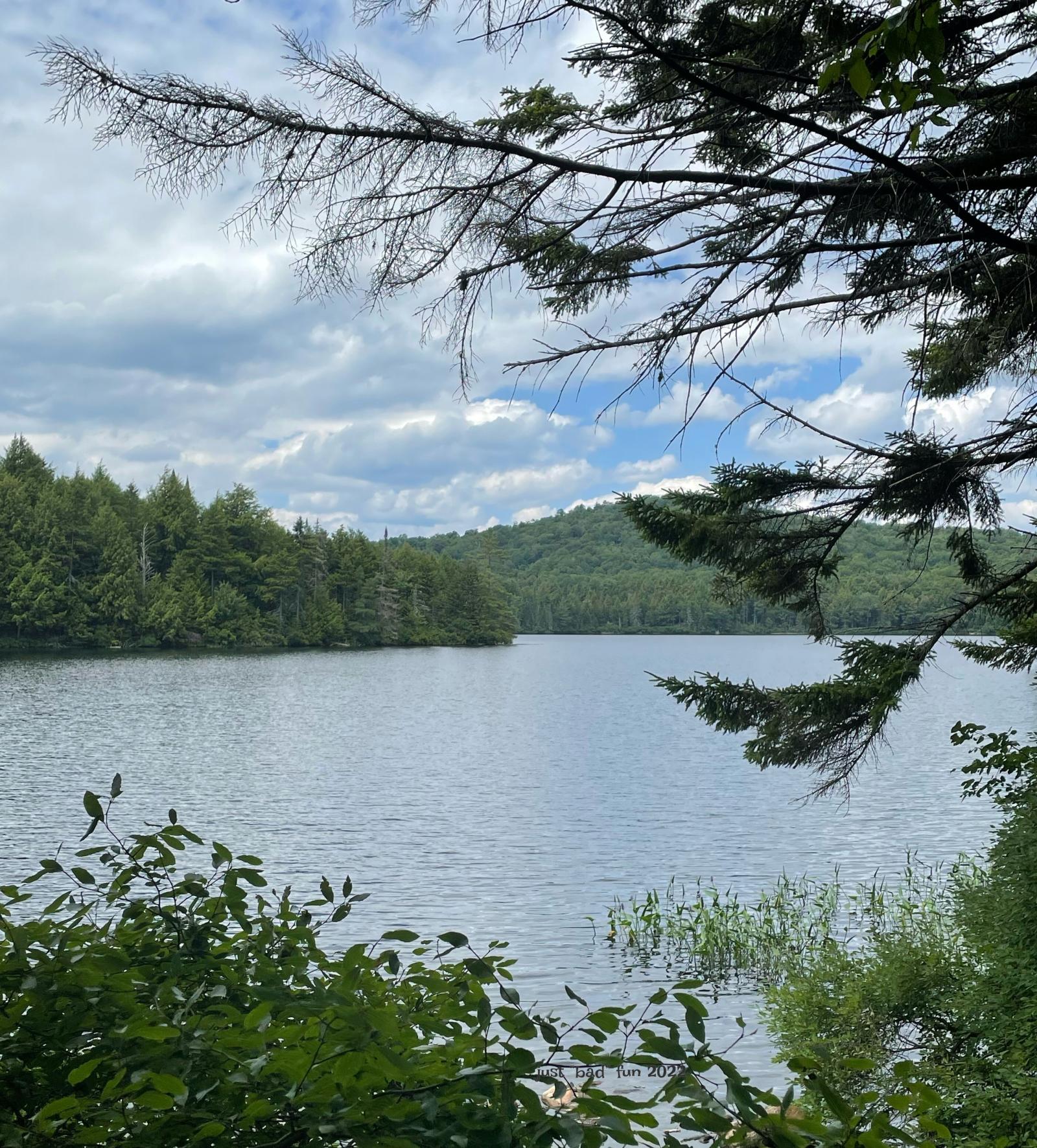 Campground Details - NICKS LAKE CAMPGROUND, NY - New York State Parks