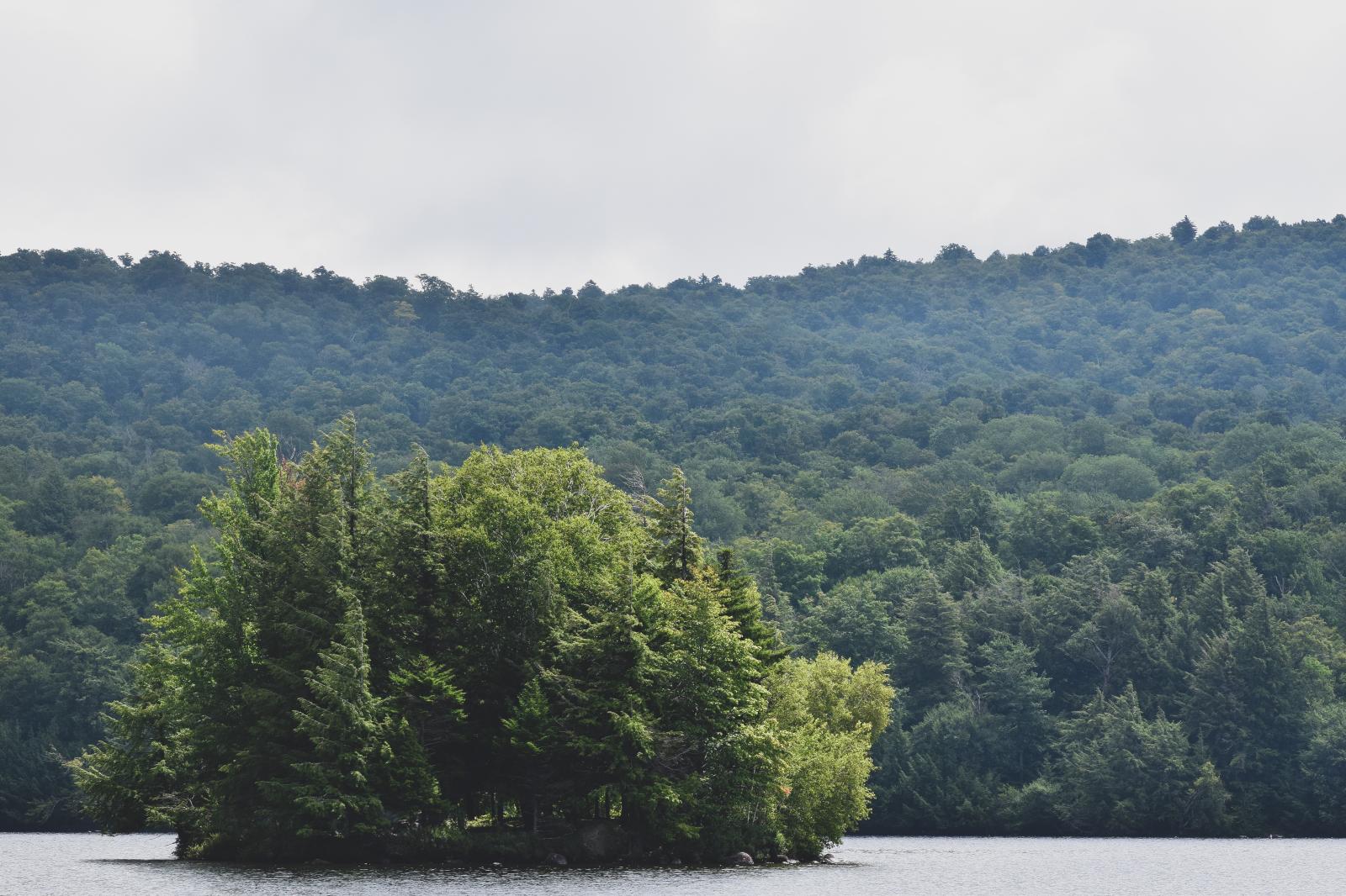 Campground Details - CRANBERRY LAKE CAMPGROUND, NY - New York State Parks